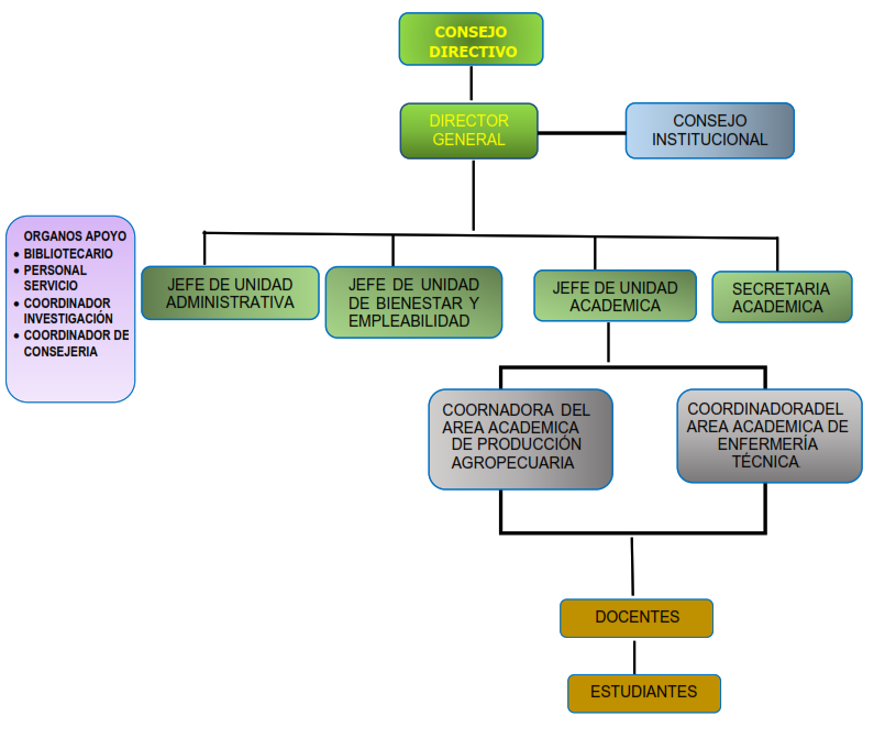 ORGANIGRAMA – IESTP TINYASH